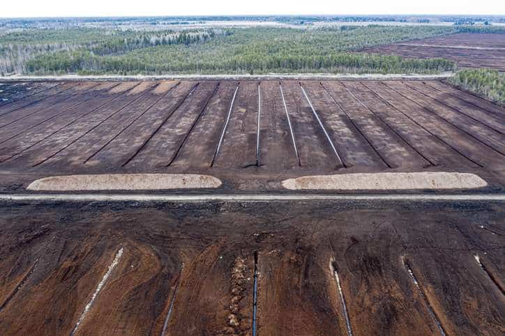 A little-known industry that releases carbon bombs into air – The ...